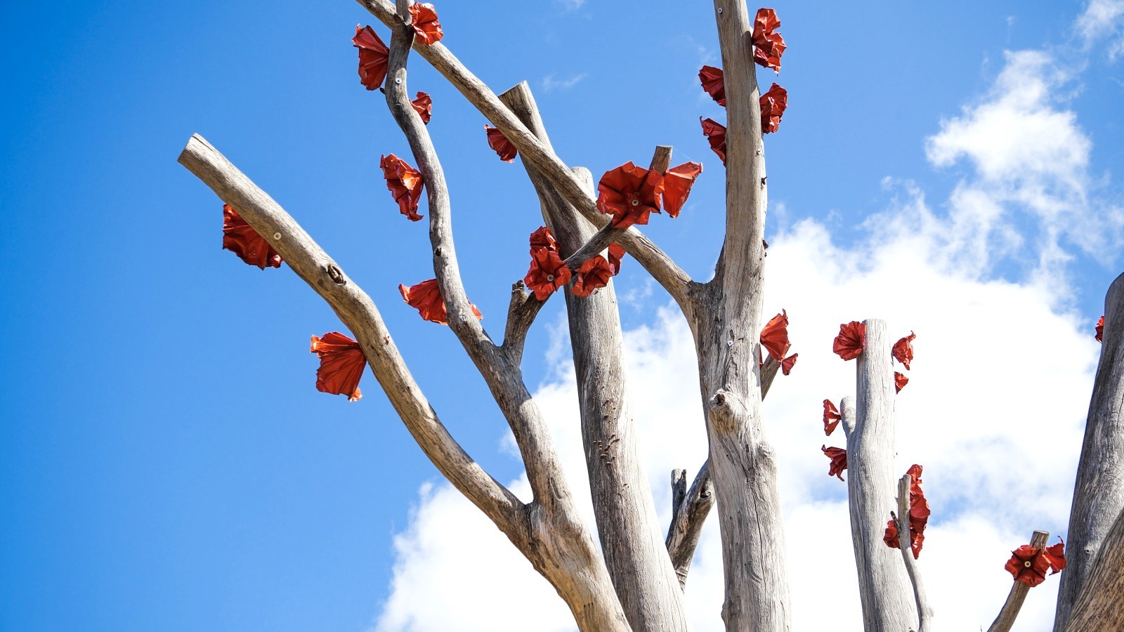 Dookie | Shepparton & Goulburn Valley